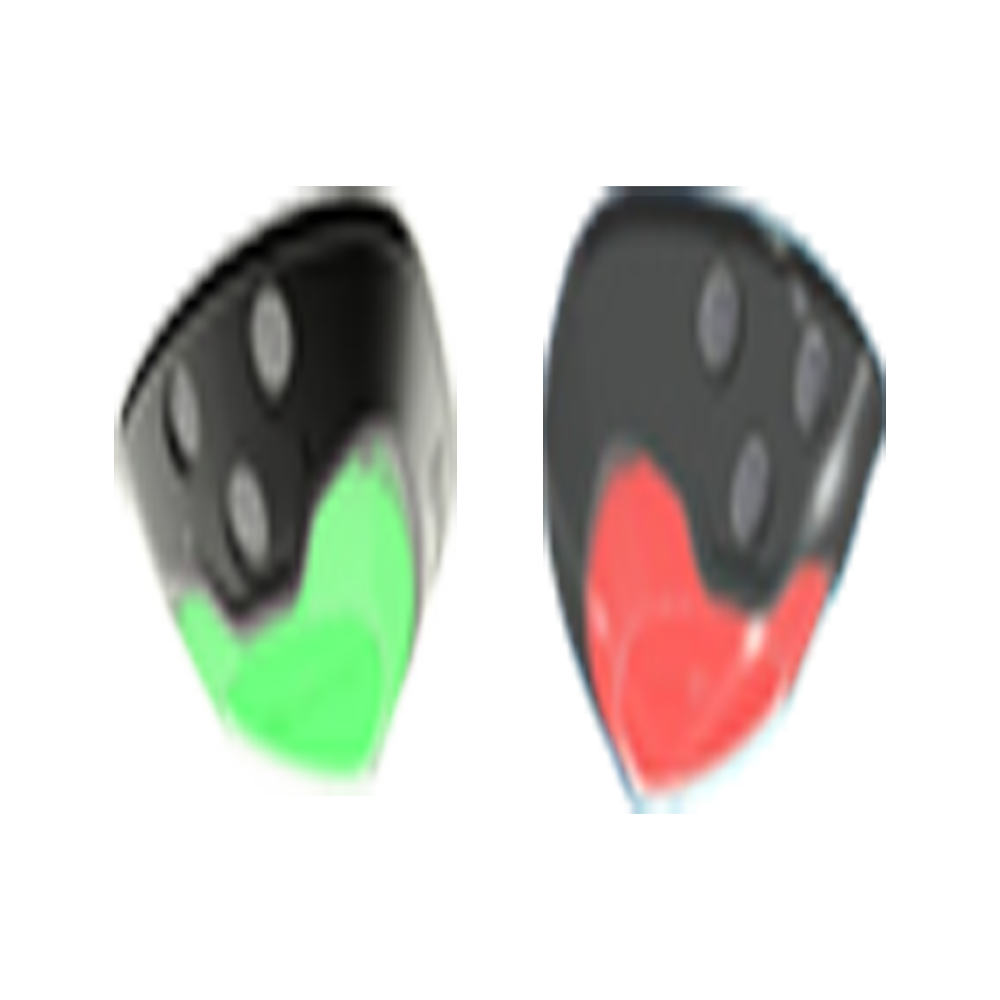 Global Parking Management Inc