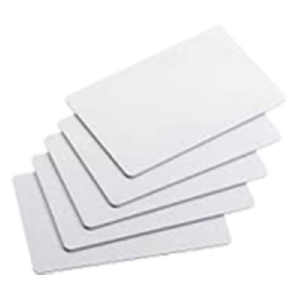 Global Parking Management Inc